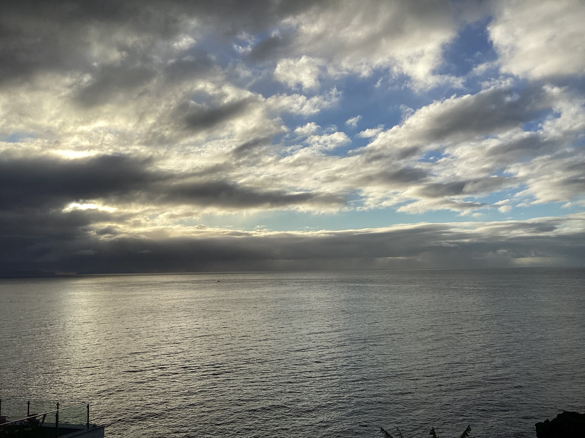 Newness of Day – The Bakery